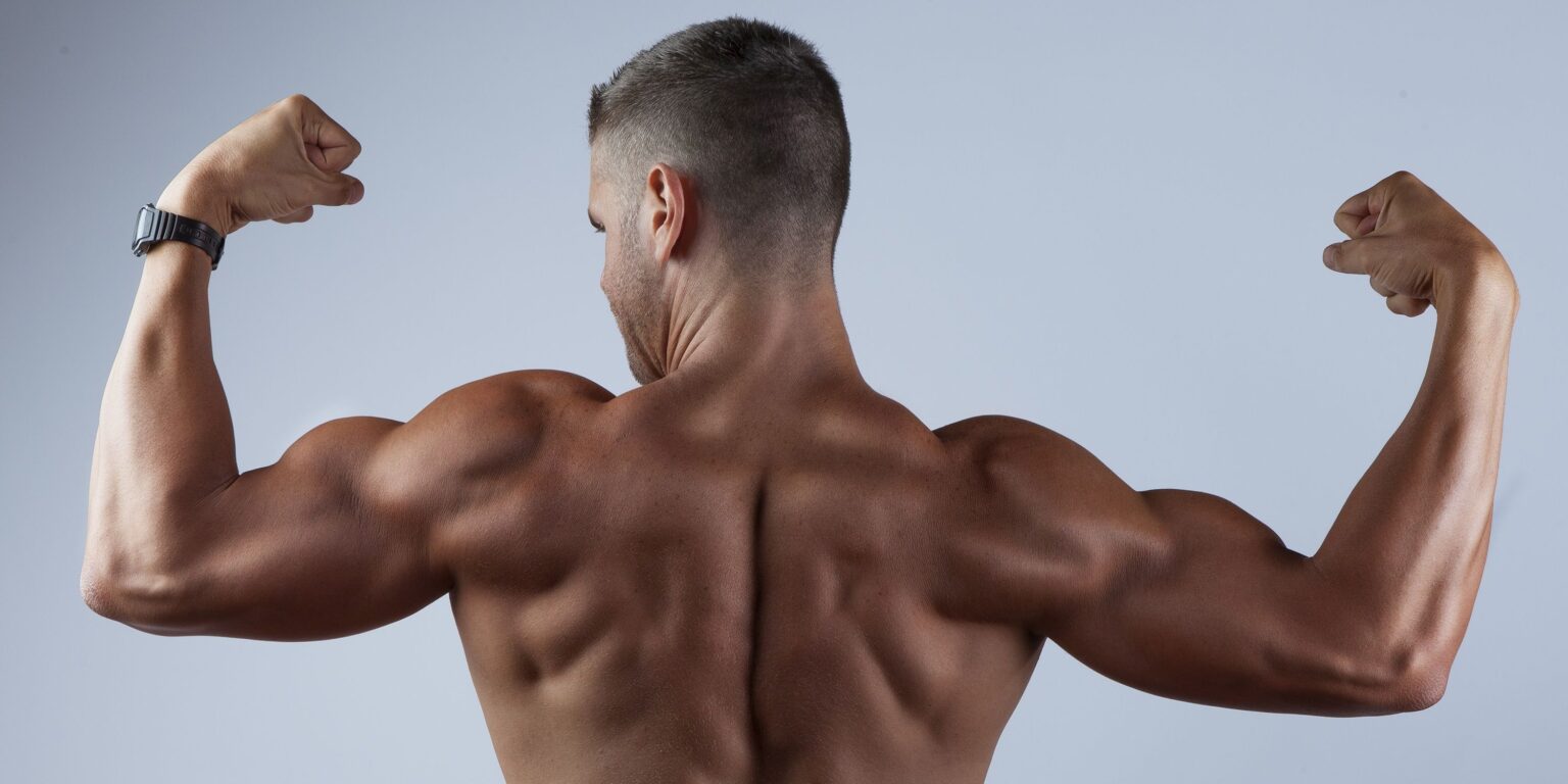 The Best Back Workout Routine - Brad Newton Fitness