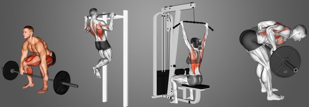 A Skinny-Fat Guide to Building Muscle | Brad Newton Fitness