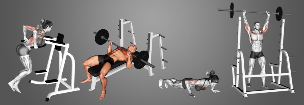 A Skinny-Fat Guide to Building Muscle | Brad Newton Fitness