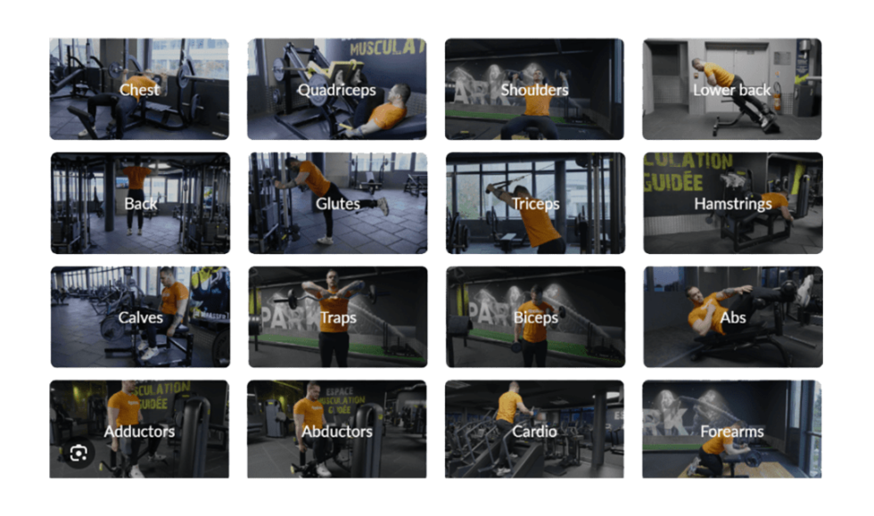 Online Fitness Coaching Services - Brad Newton Fitness