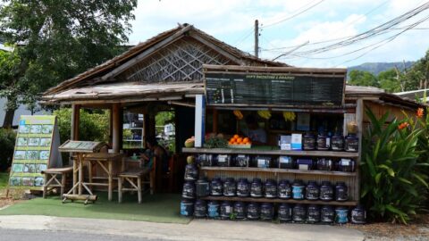 Fitness Street Phuket: A Quick Guide (2025) - Brad Newton Fitness